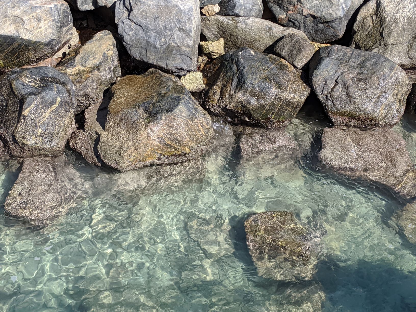 Stumbling In Shore Waters | Learning In Stillness